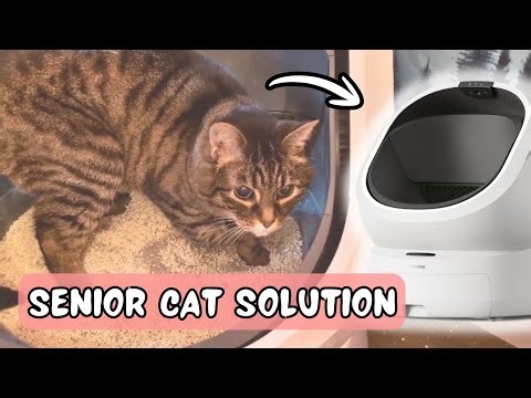 The Best Litter Box for Senior Cats? Petlibro Luma Review