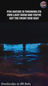 People: It’s like walking through stars! 🤩 Algae: It’s like being crushed by giants! 😭 | 5-Minute USA