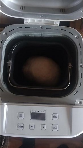 Whole Wheat loaf In Progress Russell Hobbs Bread Machine Program 3 🙂