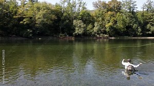 Rear view of white adult man with cap stand deep in water and fly fishing