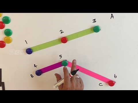Collinear and non-collinear points