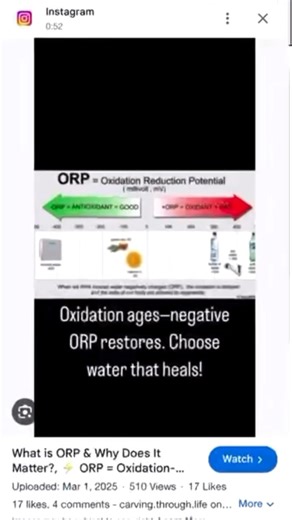 Jen Barilaro | Freedom mentor for adventurous families 💸 on Instagram: "My friend @ashley_withintent tells me she was literally Googling “ORP oxidation reduction potential meter”… and a video pops up. It’s ME. Talking about ORP. Testing everyday drinks. I guess this is what ORP famous looks like 😆💧 For anyone wondering why I geek out over ORP so much, here’s the simple version: ORP stands for oxidation reduction potential. It measures whether a liquid is oxidizing your body (stealing electron