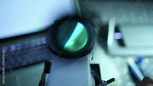A view through microscope on the fine structure of bee wings.