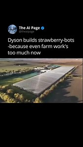 © The AI Page 👽 on Instagram: "Dyson is now building robots designed specifically to pick strawberries. These high-tech bots use advanced sensors, cameras, and AI to carefully identify and harvest ripe fruit. It’s part of a bigger push to automate farm work as labor shortages and efficiency challenges continue to grow. Even tasks as delicate as fruit picking are now being handled by machines, the future of farming is here. - - - - - Double Tap ♥️ & share/tag a friend Follow @theaipage to keep u