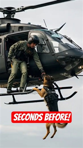 Police Dog Warns Pilot of Danger — Saves Them Before Helicopter Explosion! 🐕🚁 #dogs #rescue #animals