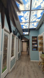 1.3K views · 77 reactions | This slow-motion of our Patagonian flying...