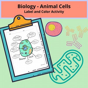 Middle School Biology: Parts of an Animal Cell - Color and Label Activity