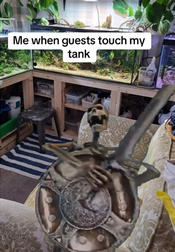 Protecting Your Aquarium Shrimp from Unwanted Guests