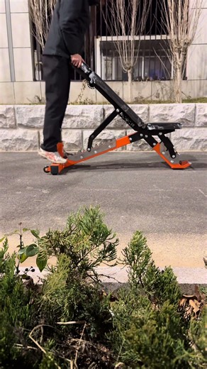 Yile Multifunctional Dumbbell Training Bench Review