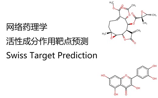 Swiss Target Prediction成分靶点预测