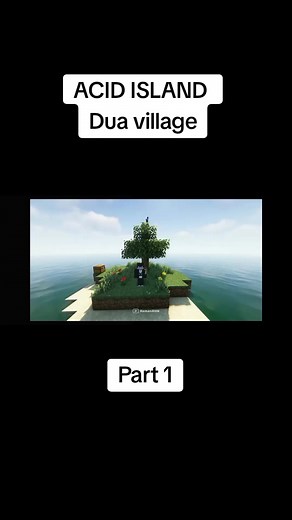 Bermain di Acid Island dengan Villager Rawa - Part 1