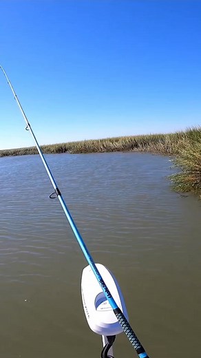 15K views · 131 reactions | The Flounder are biting! #reels #fishing #flounder #saltwaterfishing | Beaufort SC Fishing | Facebook