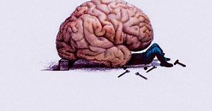 Learning and Memory in the Brain: How Science Cracked Your Mind's Code