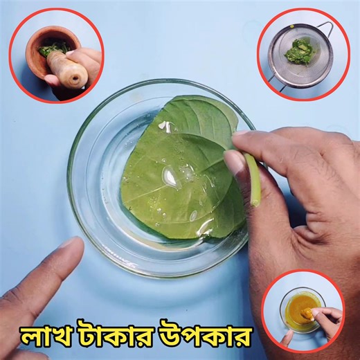 নারকেল তেলের মধ্যে পান পাতা আর হলুদ মিশিয়ে দেখুন কি হয়? | Daily Beauty Hacks