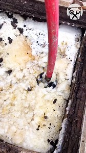 Clearing a drain blocked by endless toilet paper! Partner: thedrainguyofficial TT: https://www.tiktok.com/@thedrainguyofficial | Crafty Panda