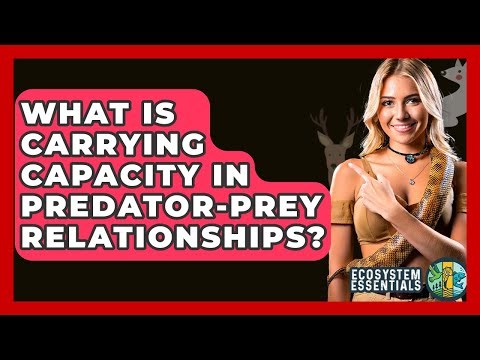 What Is Carrying Capacity In Predator-prey Relationships? - Ecosystem Essentials