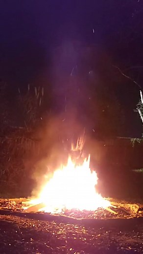 ❤️❤️❤️ | Red Bear | Facebook