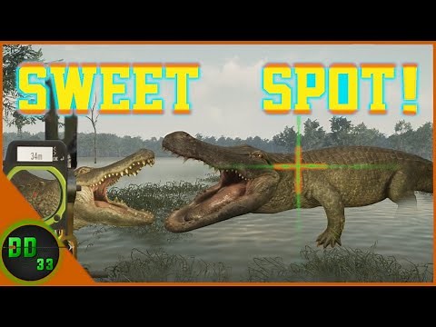 The Secret To Hunting Alligators! Call Of The Wild