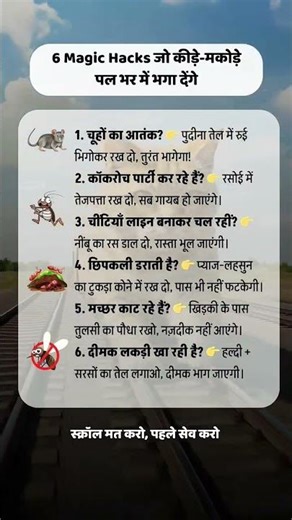 Magic' hacks for home #magichack #hack #home #ark2.0