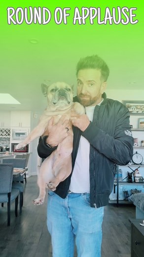 35K views · 11K reactions | Kinda hurtful but truthful… #dogsoftiktok #spongebob #applause #frenchbulldog #dogparents | somefrenchienamedapollo | Facebook