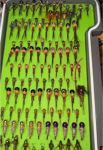 Got to love a freshly filled fly box #flyfishing #flytyingjunkie #flytyingaddict #fly #tying