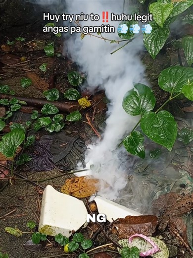 Effective Cockroach Insecticide 6 Pcs Jojo Smoke