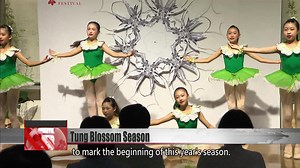 Smart flower forecasting system debuts for start of tung season The...