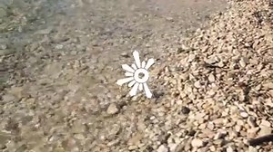 3.4K reactions · 3.1K shares | We're proud to present our second...