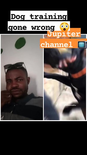207K views · 599 reactions | Dog training gone wrong  #reelsvideo #love #funny #lol | Segun Jupiter | Facebook