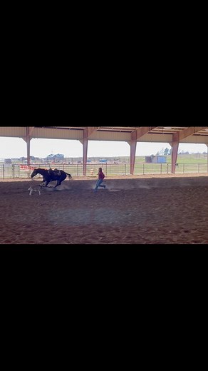 7.6K views · 160 reactions | I get asked a lot what my fastest...