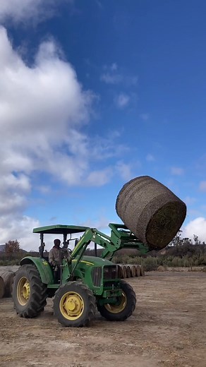 Loading Lucerne Bales for Sale: A Sustainable Farming Approach