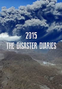 2015: The Disaster Diaries (2015)