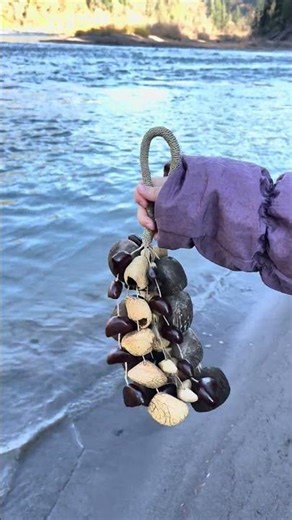 Natural Shell Wind Chime, Healing Water Sound, Meditation Decor