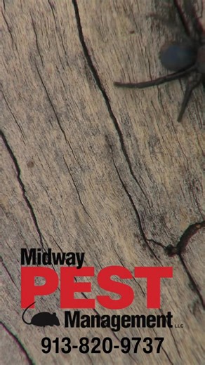 Midway Pest Management Kansas City on Reels
