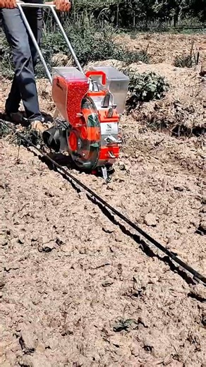 Fast seed planting process with work tool automatic precision seed planter #worktool