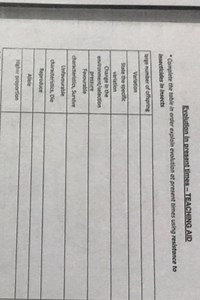 Complete the table in order to explain evolution at present tim... | Filo