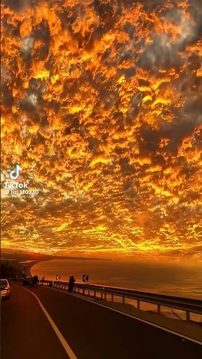 The Natural Beauty #natrure #nature #new #joy