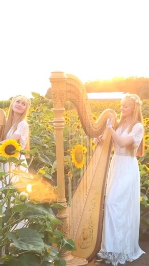 🌻Harp Reflections🌻 Original song! Full music video on YooToob 🎥 #HarpTwins #harp #classical #sunflowers | Harp Twins