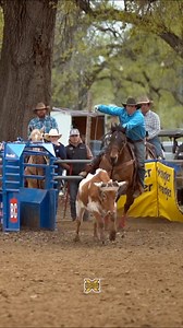 88K views · 1.5K reactions | Excited to see the “2025 Broc Cresta Memorial Team Roping” return to Cottonwood, CA! For more info on the event, check out broccrestamemorial.com | X Factor Roping | Facebook