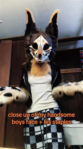 he’s so beautiful🙌🙌 #fypシ #furry #fursuit #skulldog #furrytok