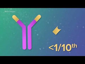 Introduction to single domain antibodies
