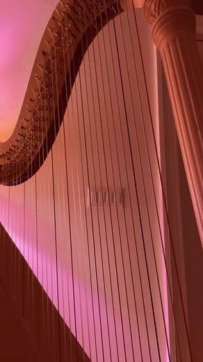 mangoespeaches on TikTok