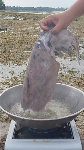 SATISFYING Cuttlefish Cook ASMR 🦑🔥