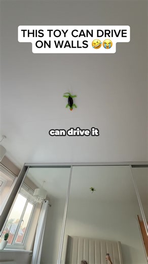 The remote control wall riding chameleon is unreal and the perfect stocking filler for Christmas… #kidstoys #christmasgiftideas #kidsgifts #blackfriday #stockingfillers