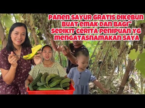 A LITTLE STORY THAT MADE Mbak YANTI ANGRY ABOUT THE SCAM USING MY NAME‼️FREE VEGETABLE HARVEST