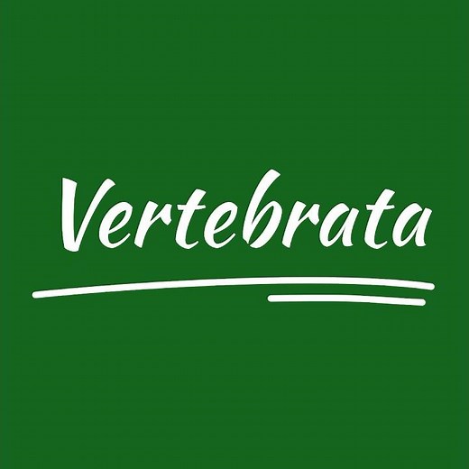 Vertebrata classes #class9 #ncert#neet #biology #chapter7 #notes #shorts #classification #animalia