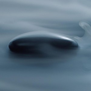 106K views · 159 reactions | Have you heard of Streamliner? IONIQ 6, the new streamliner in the EV era with the simple yet sensuous streamlined design, is coming. Let the story of the new era with IONIQ 6 begin. Silhouette of the New Era. Electrified Streamliner IONIQ 6 ▶ Stay tuned for: ioniq6.hyundai.com #IONIQ6 #Streamliner #EV #ElectrifiedStreamliner #SilhouetteoftheNewEra #Hyundai #IONIQ | Hyundai Worldwide | Facebook