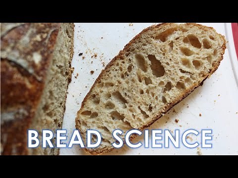 The Science of Bread (Part 1) - Flour Water Yeast Salt