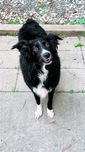 TeddyLucious on TikTok