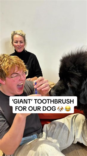 Hilarious Giant Toothbrush Purchase for Our Dog